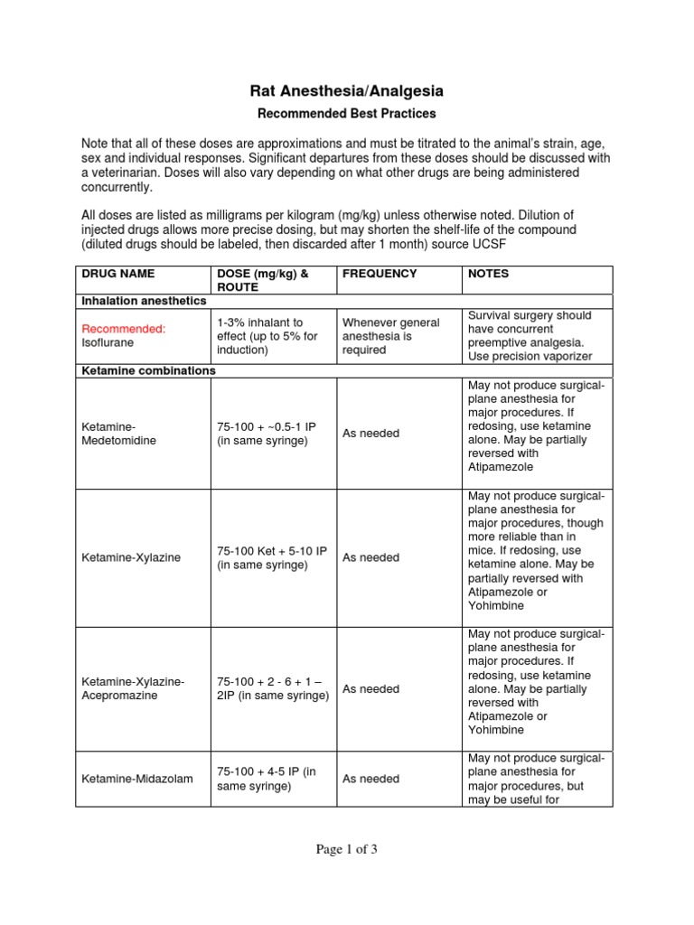 Rat Anesthesia Analgesia | PDF | Analgesic | Anesthesia