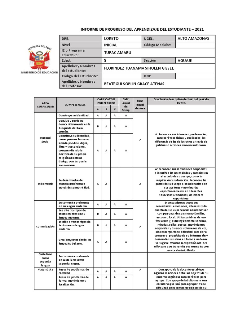 INFORME DE PROGRESO DEL APRENDIZAJE DEL ESTUDIANTE | PDF | Comunicación | Aprendizaje