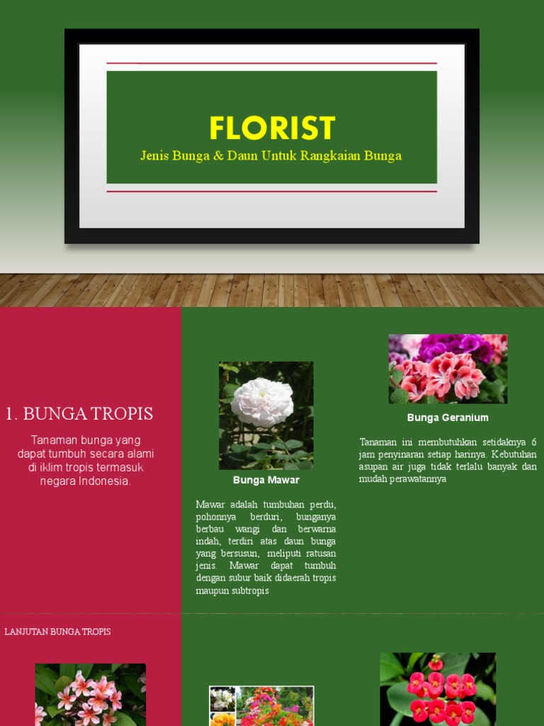 Jenis Bunga dan Daun untuk Florist | PDF