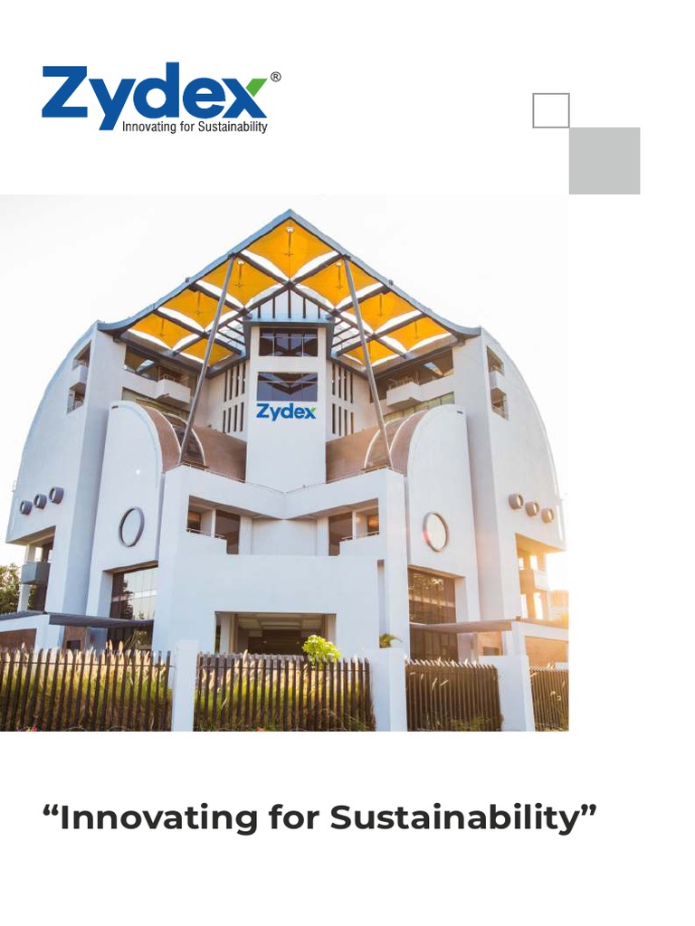 Zydex Corporate Profile - Roads | PDF | Asphalt | Road Surface