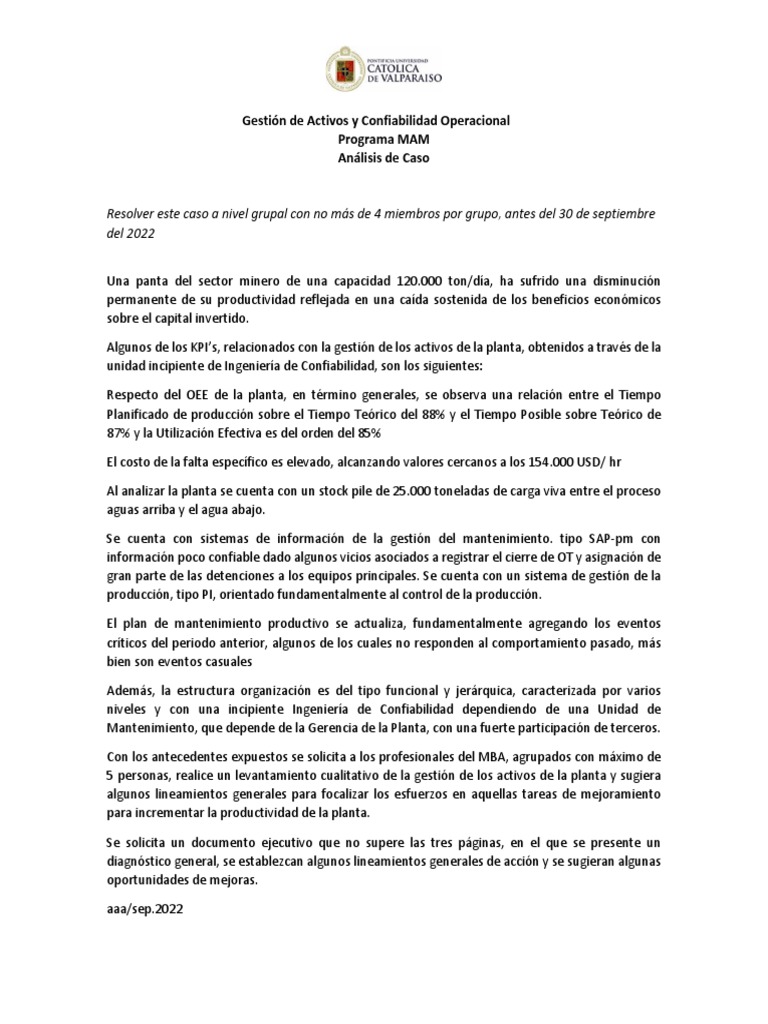 Analisis de Caso MAM AArata | PDF | Business | Economias