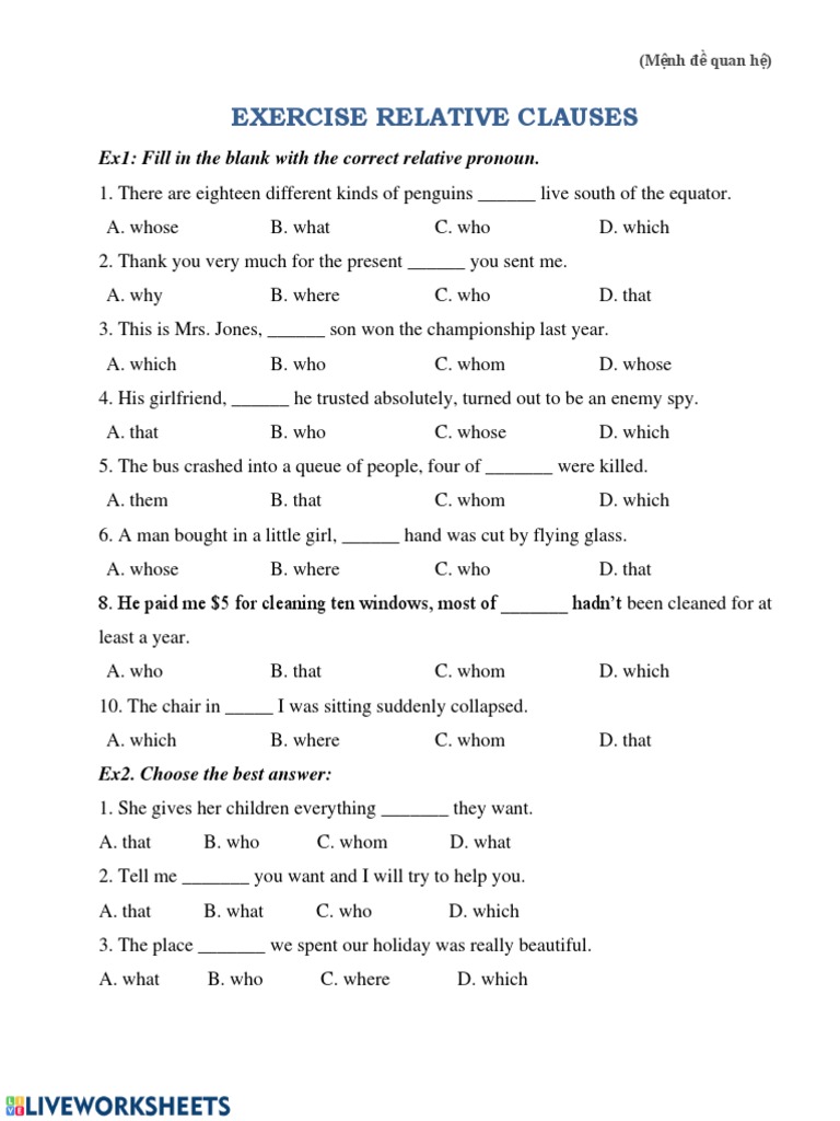 Relative Clauses Practice | PDF