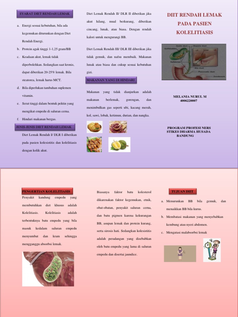 Leaflet Diet Rendah Lemak Pdf