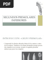 Premolares Inferiores | PDF | Boca | Anatomia dental