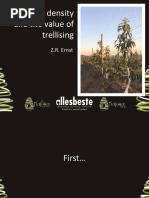 Hass Avocado Farming Guide PDF | PDF | Grafting | Avocado