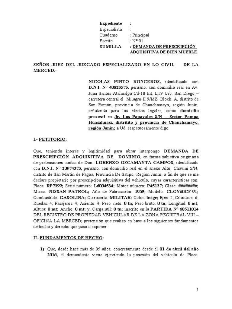 Prescrpcion Adquisitiva de Dominio - Nicolas Pinto - Final | PDF ...