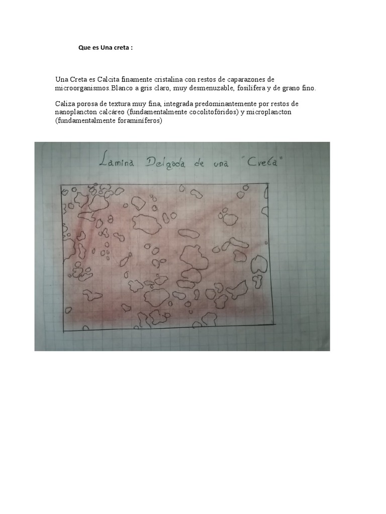Creta: Roca Sedimentaria Fosilífera | PDF