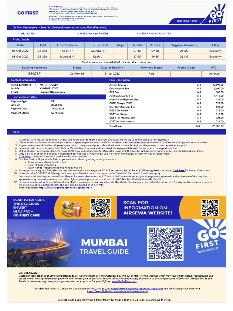Flight Ticket Pdf