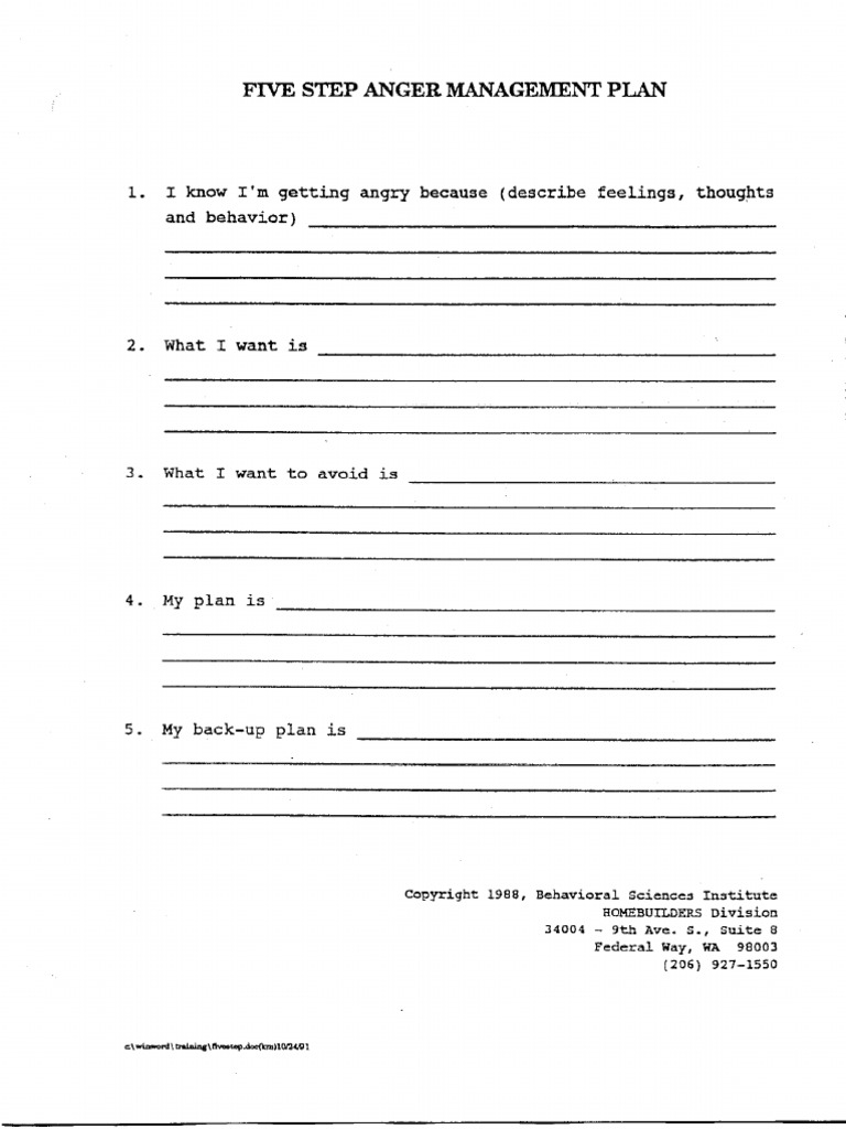 5 Step Anger Management Plan | PDF