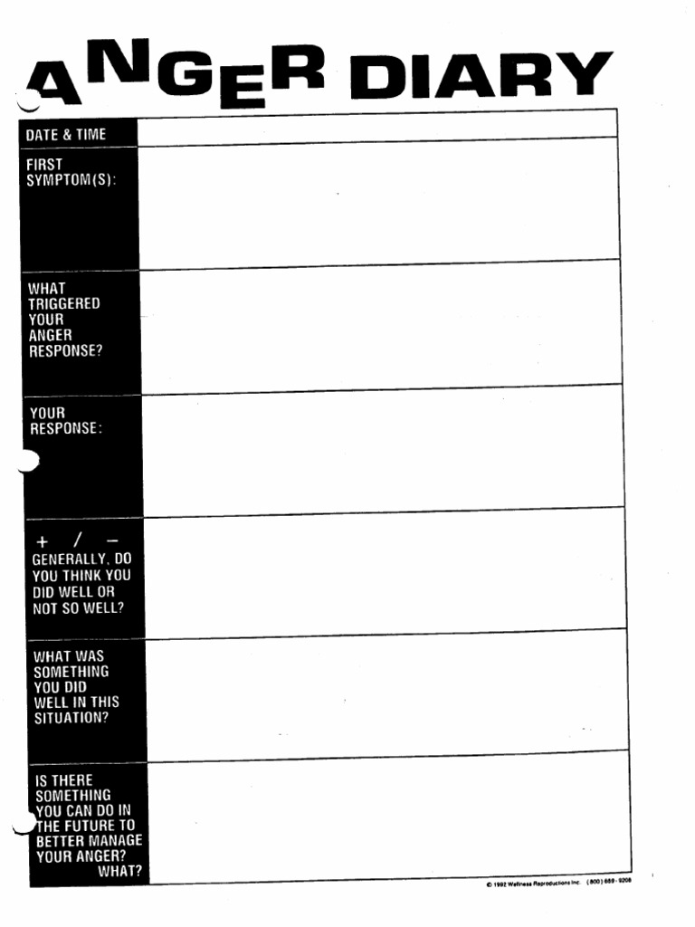 Anger Diary | PDF