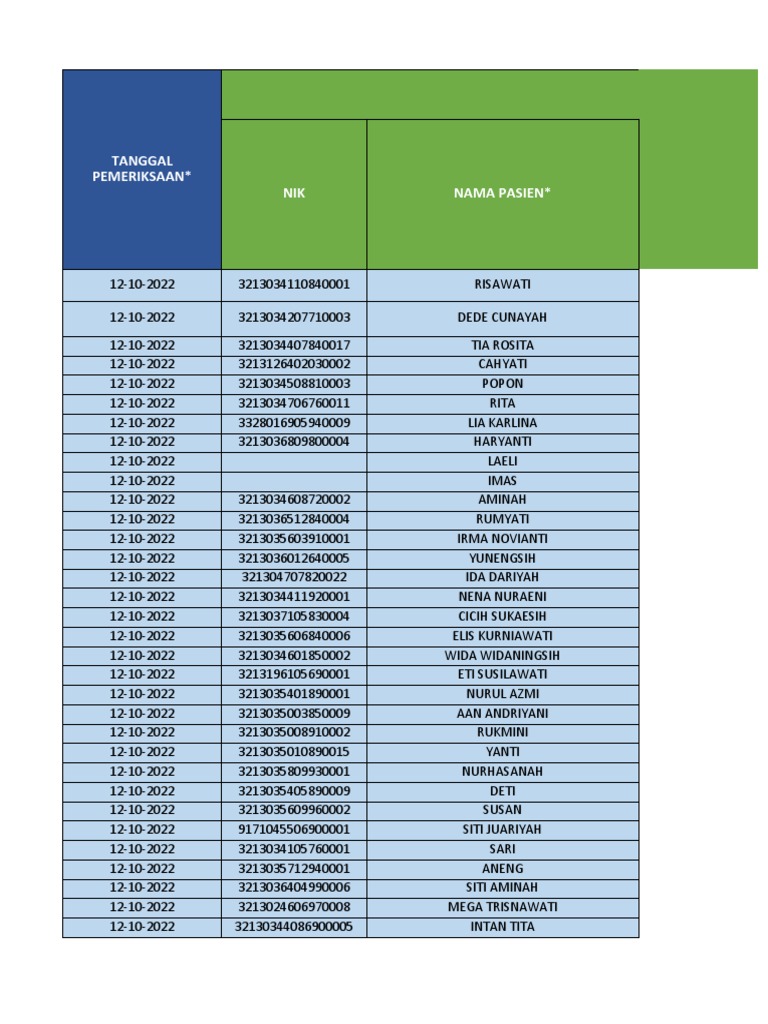 Form Offline Iva | PDF