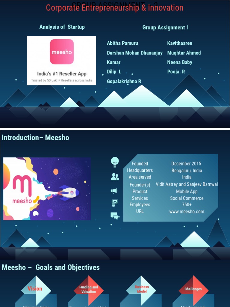 Group6 MEESHO | PDF | Startup Company | Small Business & Entrepreneurs