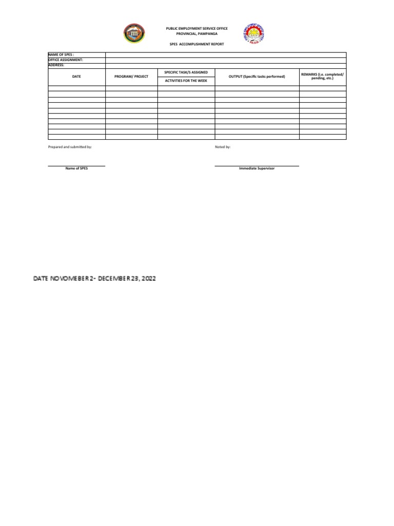 Accomplishment Report For SPES Individual | PDF