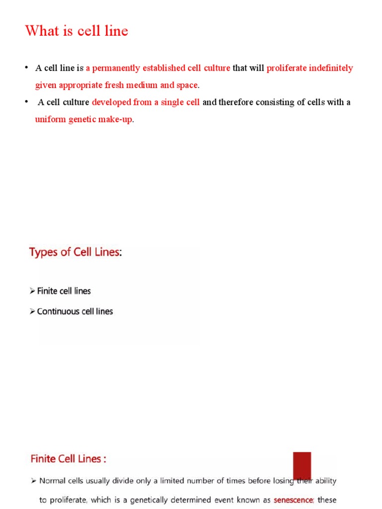Common Cell Lines and Their Uses | PDF | Cell Culture | Hek 293 Cells