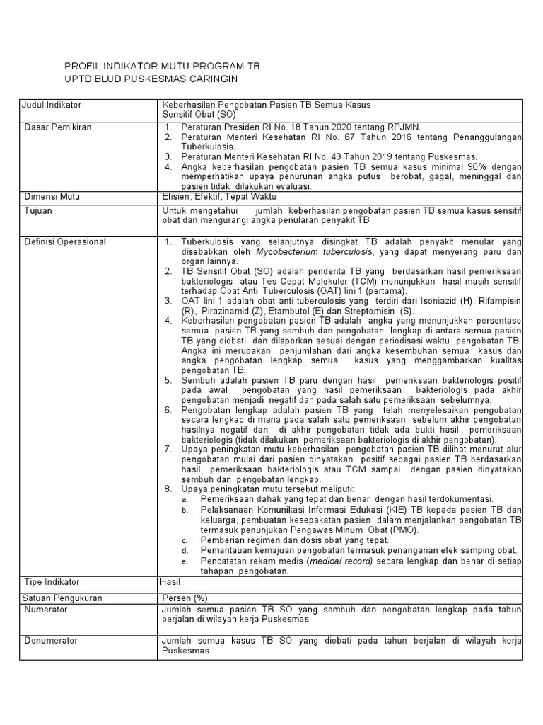 Indikator Mutu Program TB PKM | PDF
