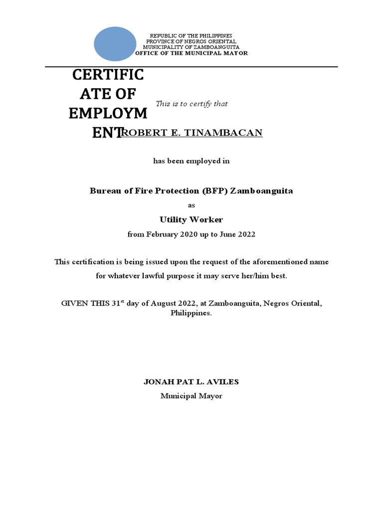 Certificate of Employment | PDF | Economies | Government