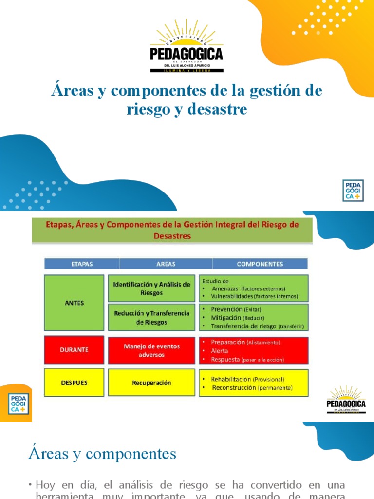 Áreas y Componentes Enla Gestión Del Riesgo | PDF | Riesgo | Inundar
