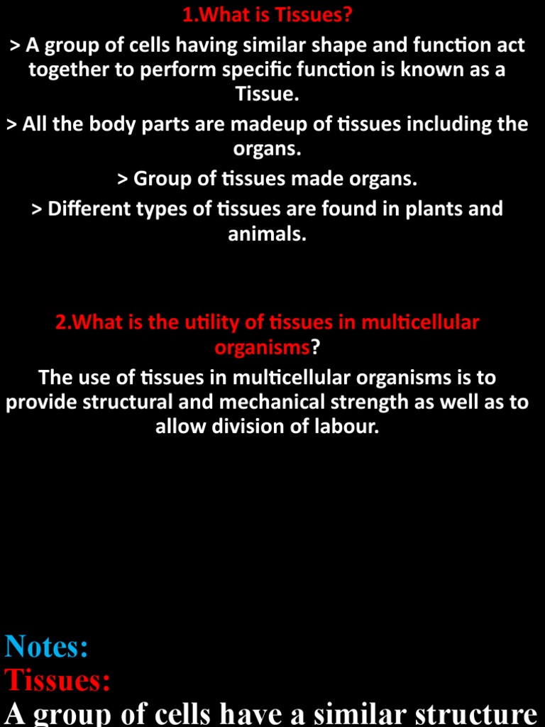 Tissues Class Work | PDF | Tissue (Biology) | Eukaryotes
