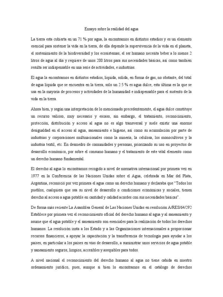 Ensayo Sobre La Realidad Del Agua | PDF | Agua | Economias