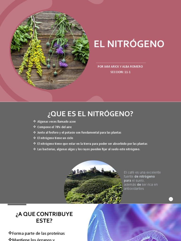 El Nitrógeno | PDF | Nitrógeno | Química