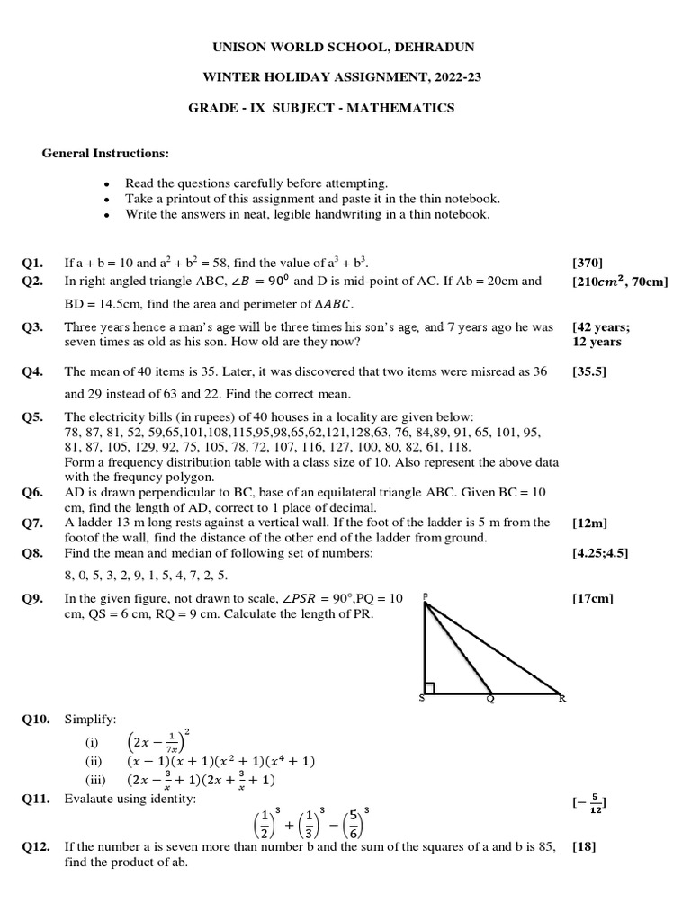 Grade IX Mathematics Assignment | PDF | Area | Triangle