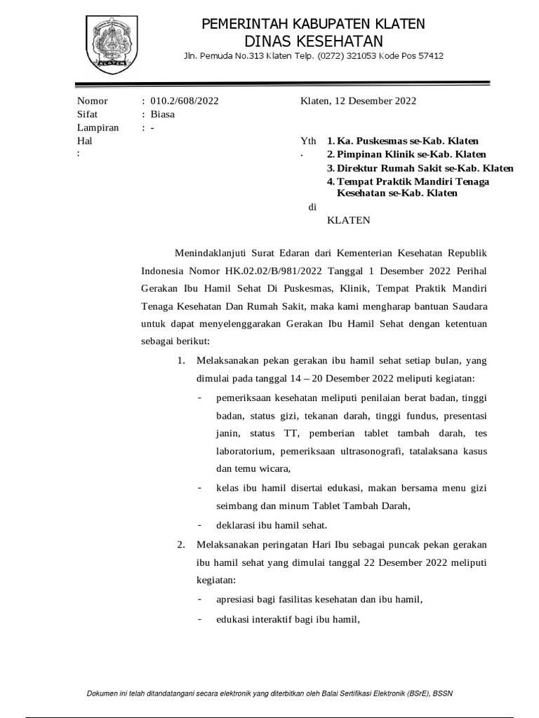 Gerakan Bumil Sehat | PDF