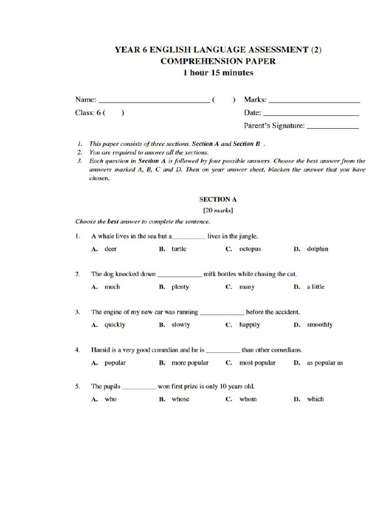 Year 6 English Final Exam Paper | PDF