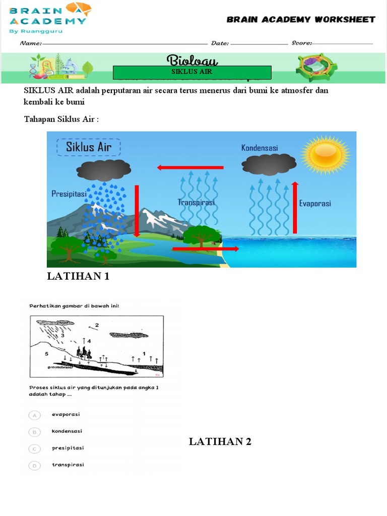 Worksheet SD 5 | PDF