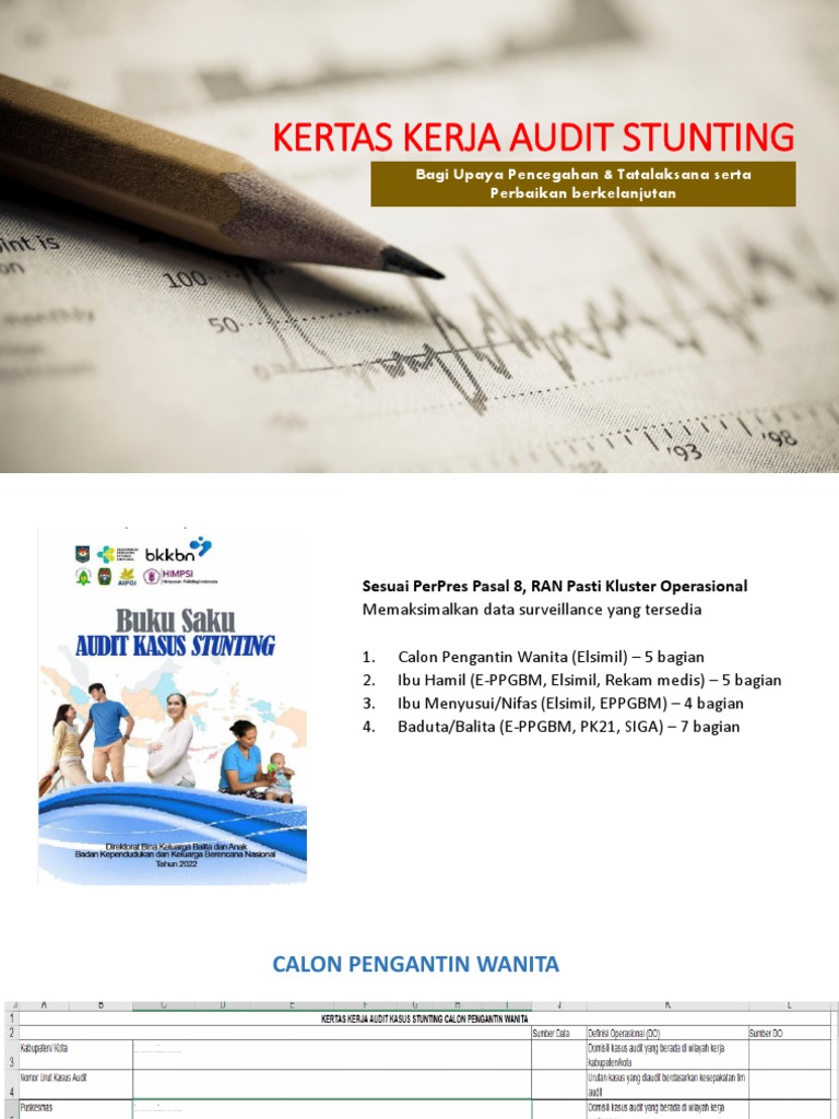 KERTAS KERJA AUDIT STUNTING KRM | PDF