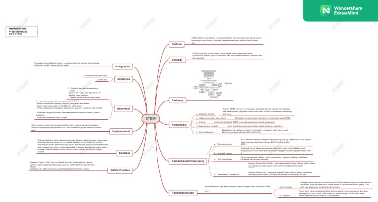 WOC STEMI Fix (RUANGAN ICCU) | PDF
