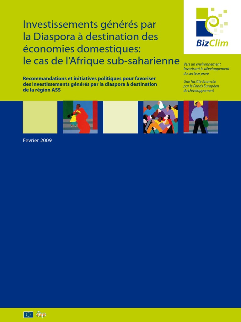 Rapport Diaspora FR BD Def | PDF | Envois de fonds | Investir