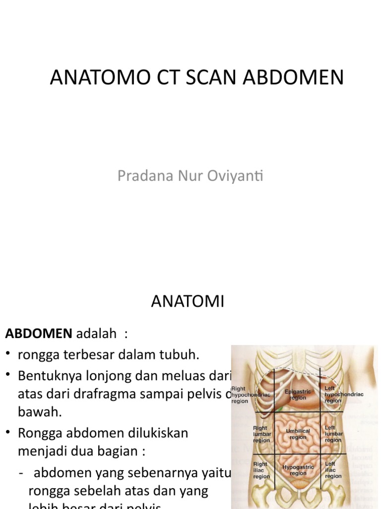 Anatomi Abdomen dan Isinya | PDF