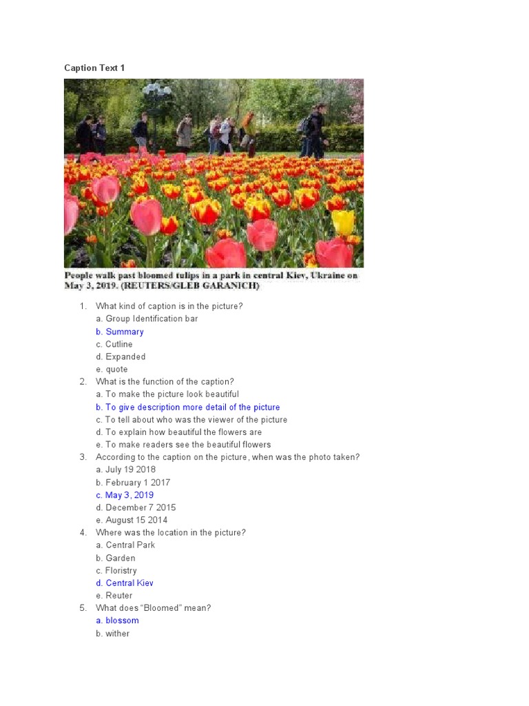 Understanding Captions And Their Purpose Pdf Jakarta