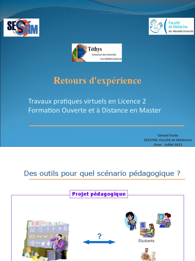 Soula Licence 2 | PDF | Technologies de l'éducation | Formation à distance