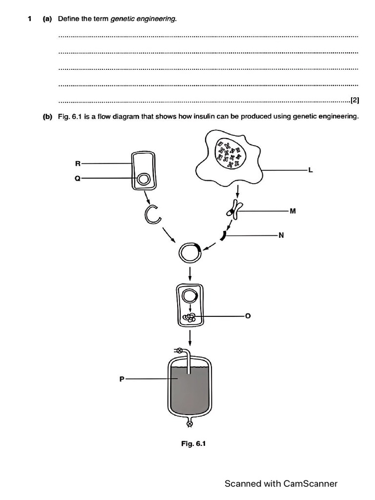 Exam 6,7 | PDF
