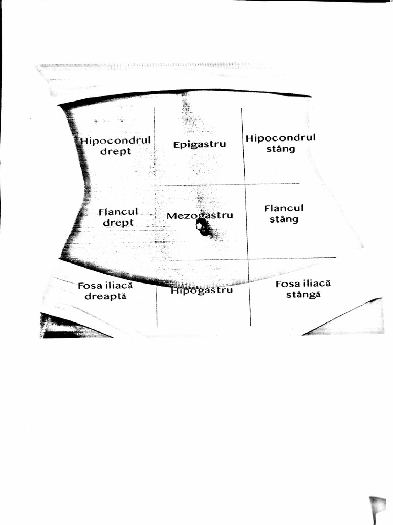 Poza Impartirea Abdomenului | PDF