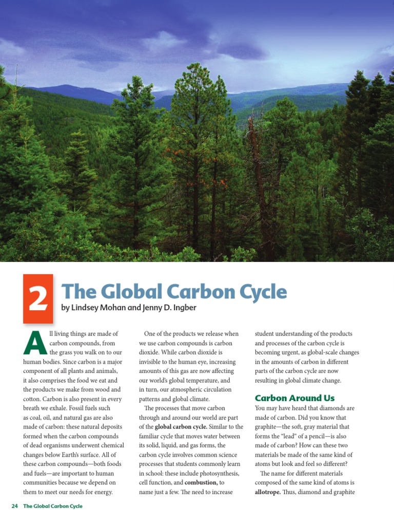 The Global Carbon Cycle | PDF | Carbon Cycle | Carbon Dioxide