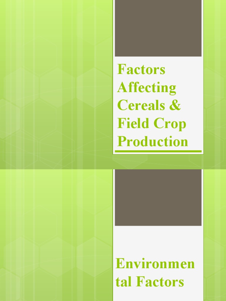 Factors Influencing Crop Production | PDF | Soil | Ph