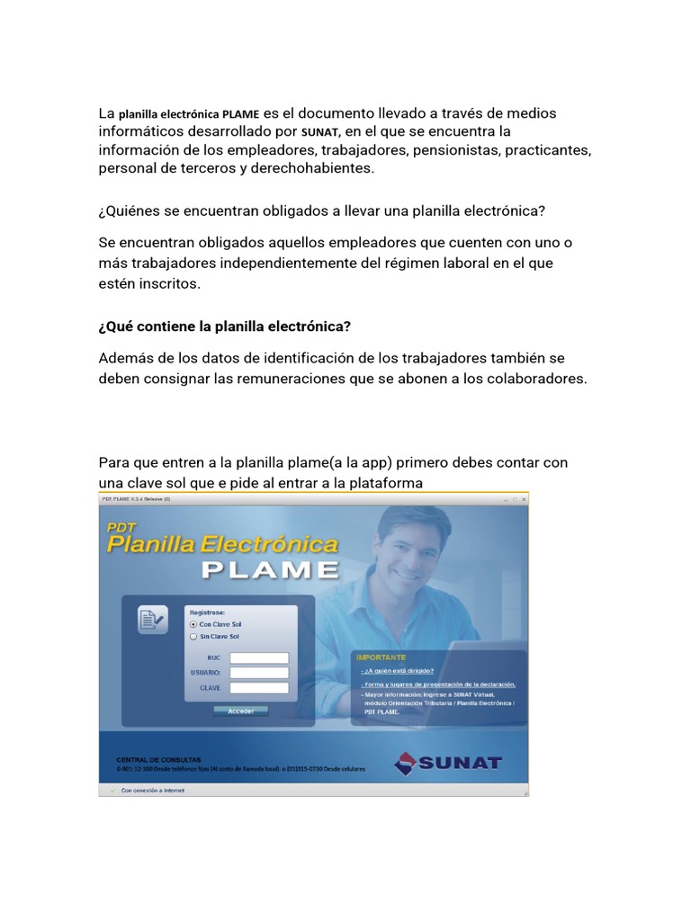 Plame | PDF