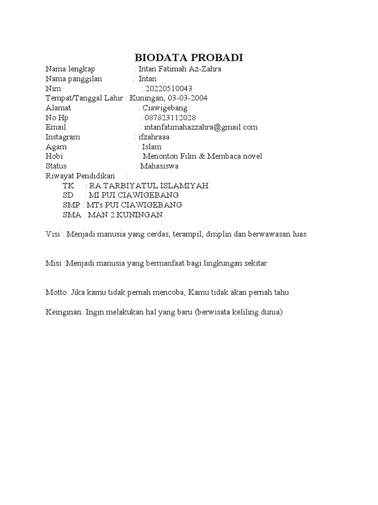 Biodata Intan | PDF
