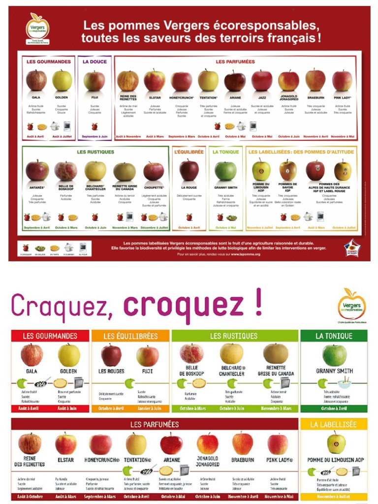 2.-Fiches-saveurs-des-pommes- | PDF
