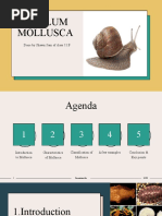 Shrimp Scientific Classification Overview | PDF | Crustacean | Shrimp