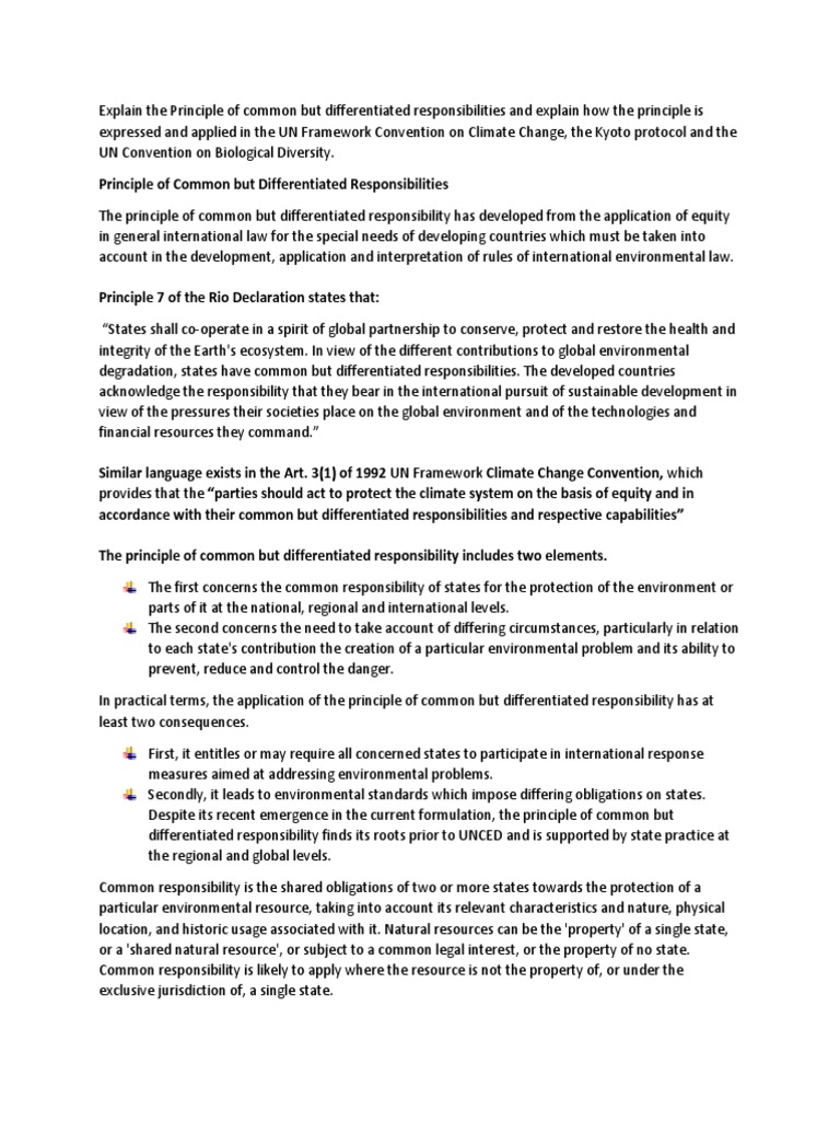 Principle of Common But Differentiated Responsibithe Principle | PDF ...