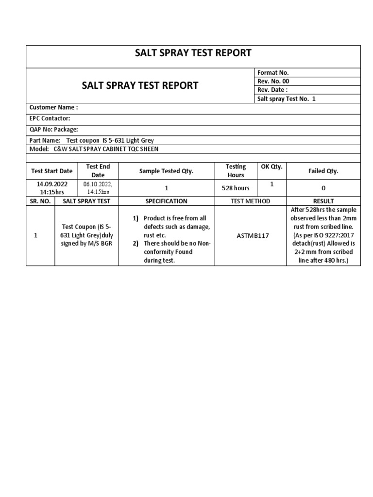 Salt Spray Report | PDF