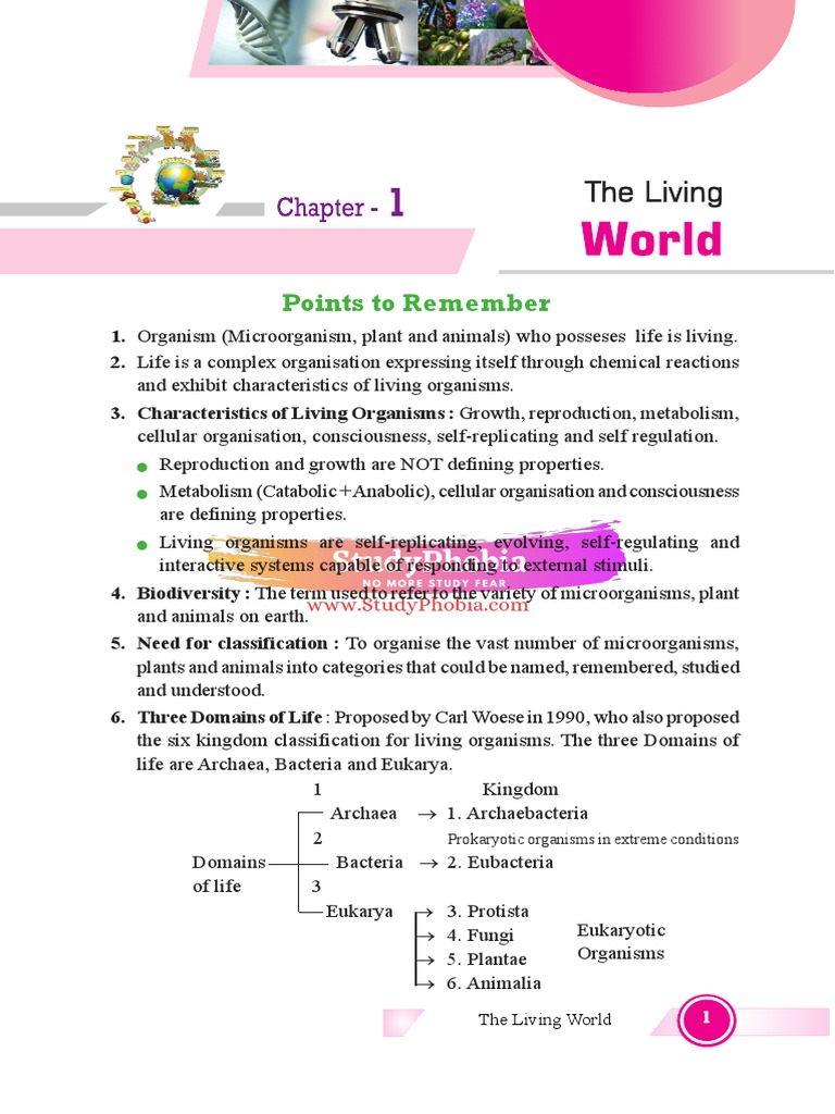 The Living World | PDF | Taxonomy (Biology) | Life