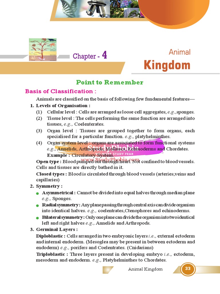 Animal Kingdom | PDF | Organisms | Zoology