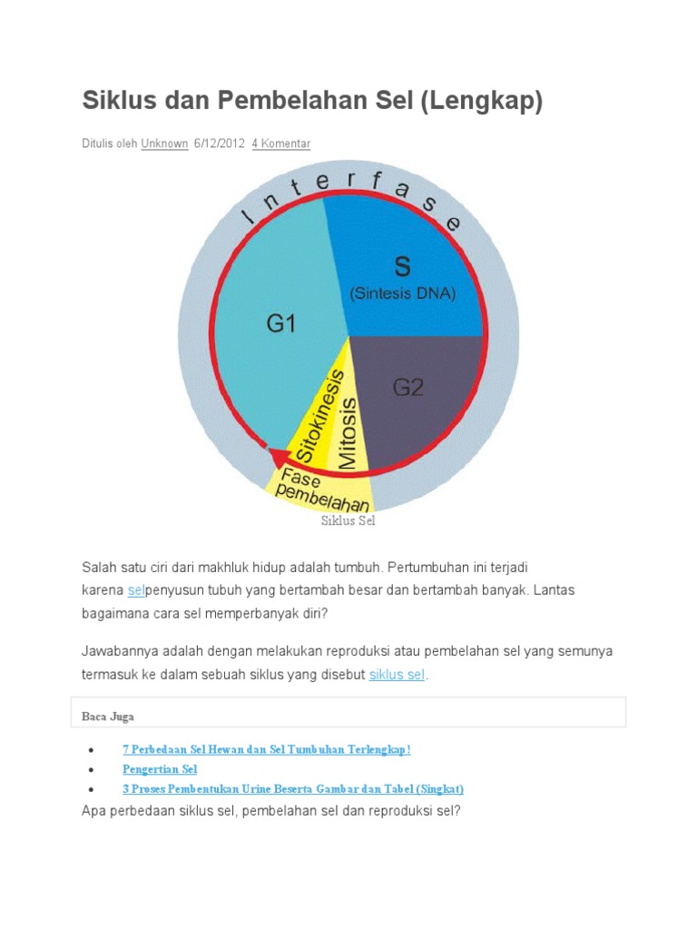 Materi Siklus Sel | PDF