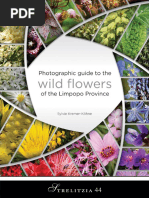 Adjectives For Describing A Plant | PDF | Plants | Flowers