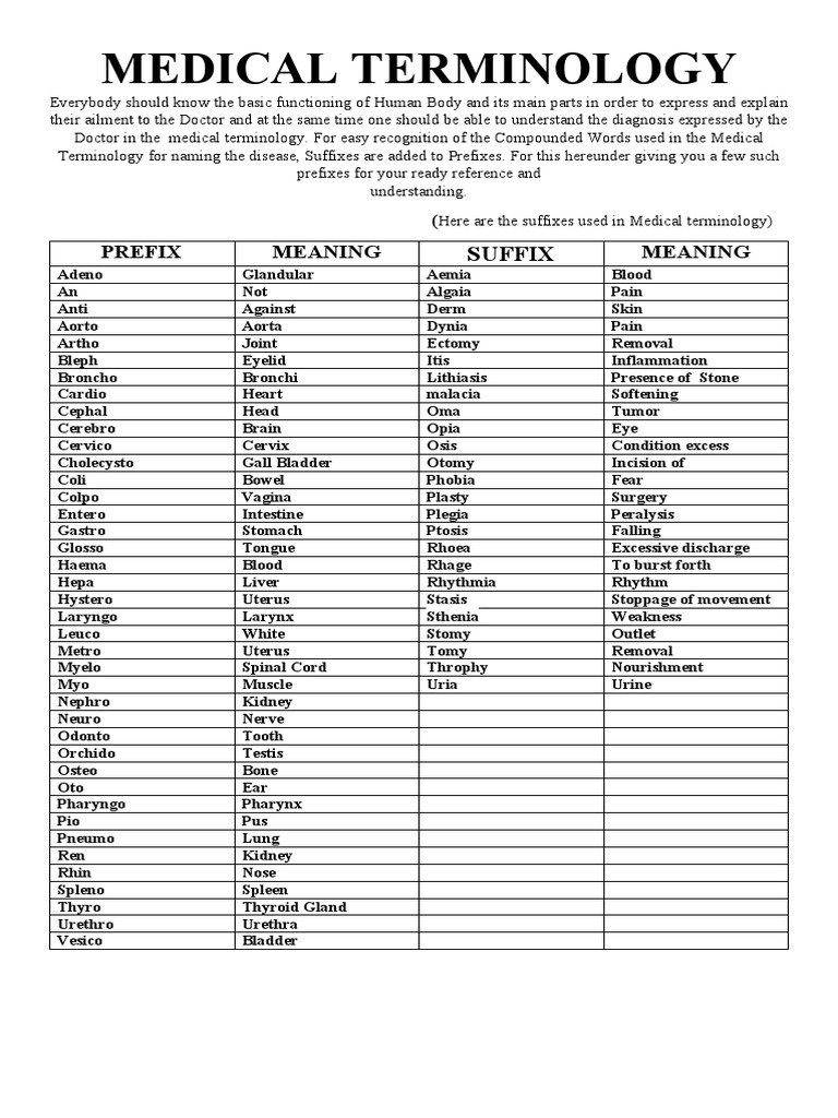 Medical Terminology | Download Free PDF | Urinary Bladder | Pain