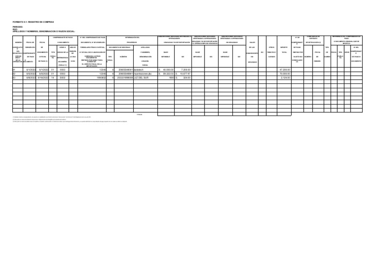 Formato 8.1 Registro de Compras | PDF